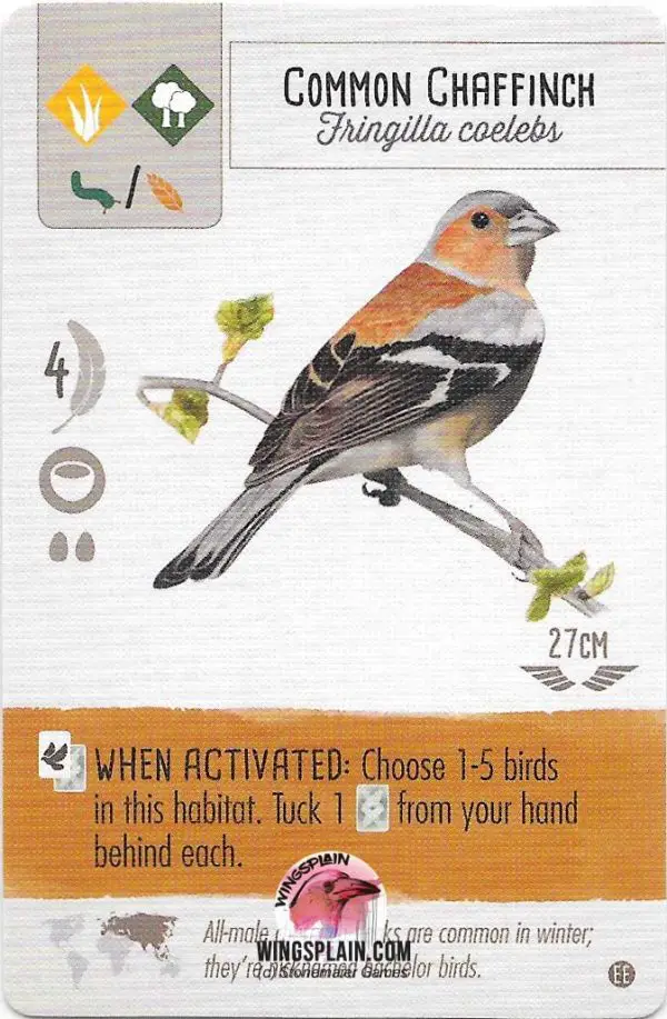 14 Powerful Card Combos in Wingspan • Wingsplain