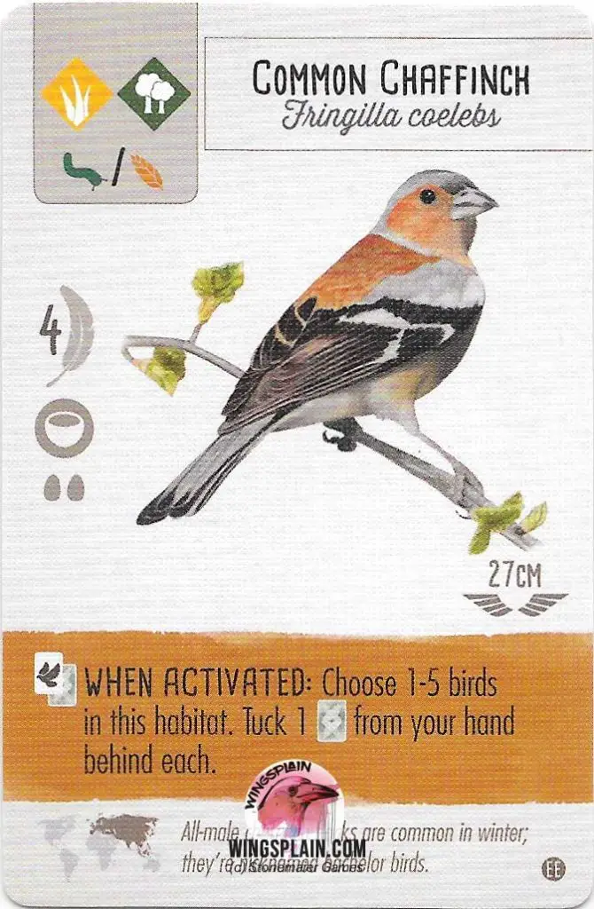 How To Play Wingspan Forest Engines • Wingsplain