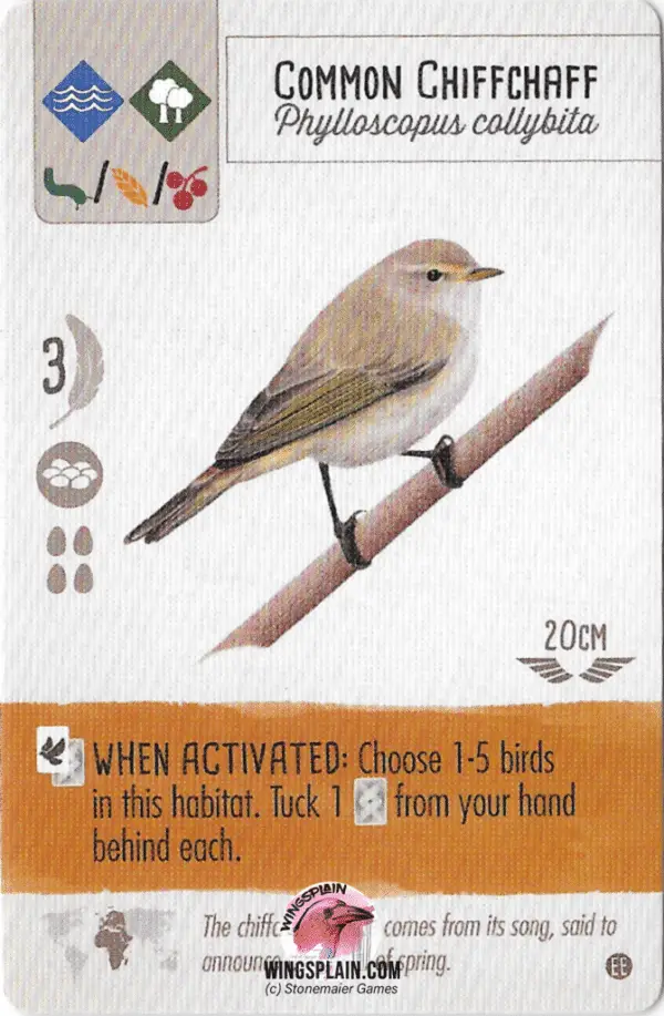 How To Play Wingspan Forest Engines • Wingsplain