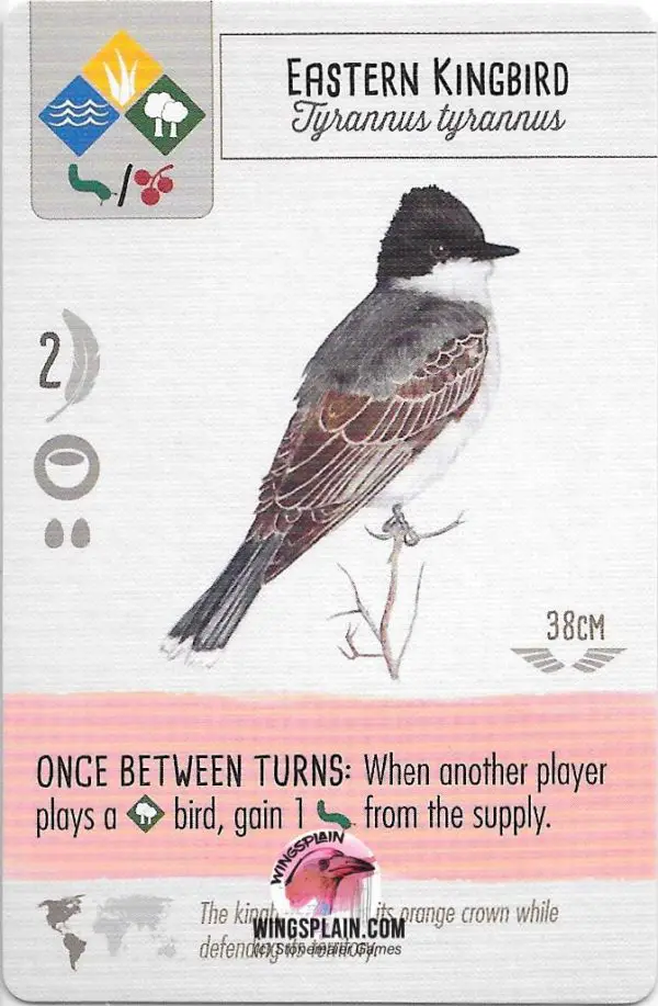 Wingspan Pink Powers: Discover How All 24 Pink Powered Bird Cards Rank ...