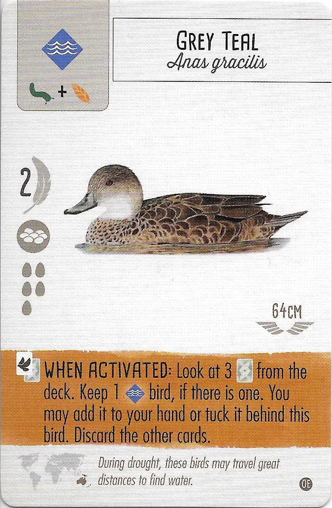 Is Grey Teal One of The Best Cards In Wingspan Oceania Expansion ...