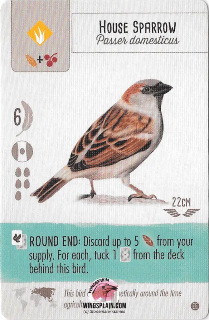 Wingspan Teal Powers: Discover How All 36 Teal Powered Bird Cards Rank ...