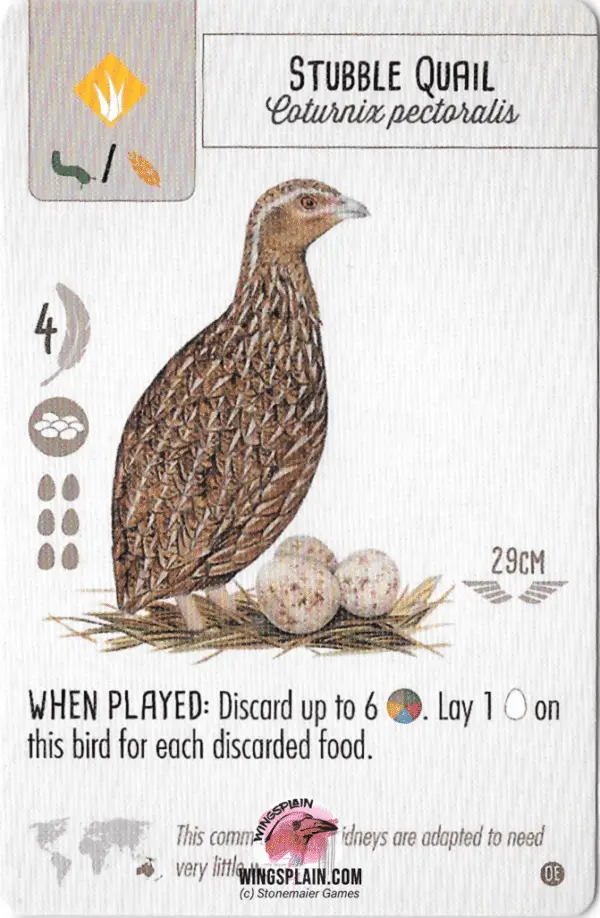 How To Play Wingspan Forest Engines • Wingsplain