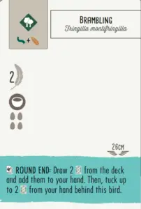 Wingspan Asia Review: Exciting New Game Modes! • Wingsplain