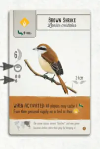 Wingspan Asia Expansion Rulebook, Box, and 13 Bird Cards Revealed ...