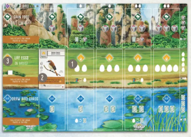 Wingspan Asia Expansion Rulebook, Box, and 13 Bird Cards Revealed ...