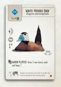 Wingspan Asia Expansion Rulebook, Box, and 13 Bird Cards Revealed ...