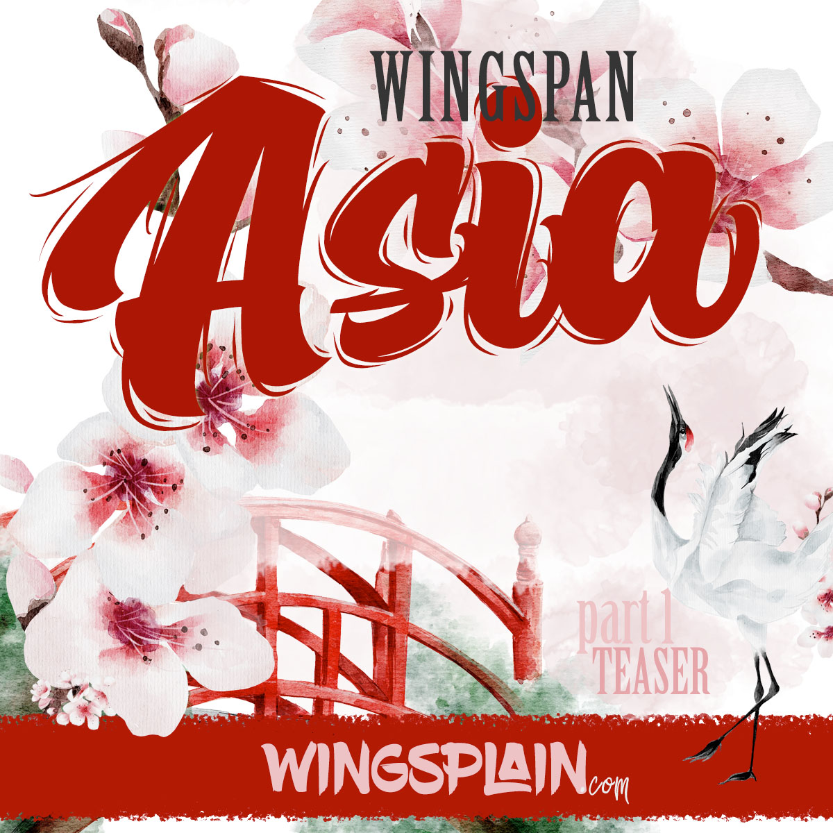 Wingspan Board Game • Wingsplain