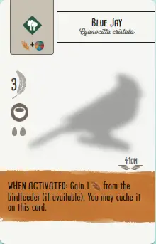 How To Play Wingspan Forest Engines • Wingsplain