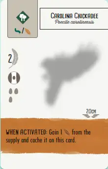 How To Play Wingspan Forest Engines • Wingsplain