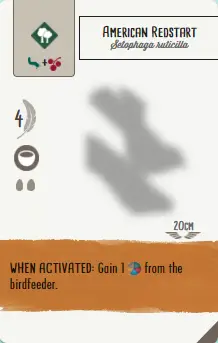 How To Play Wingspan Forest Engines • Wingsplain