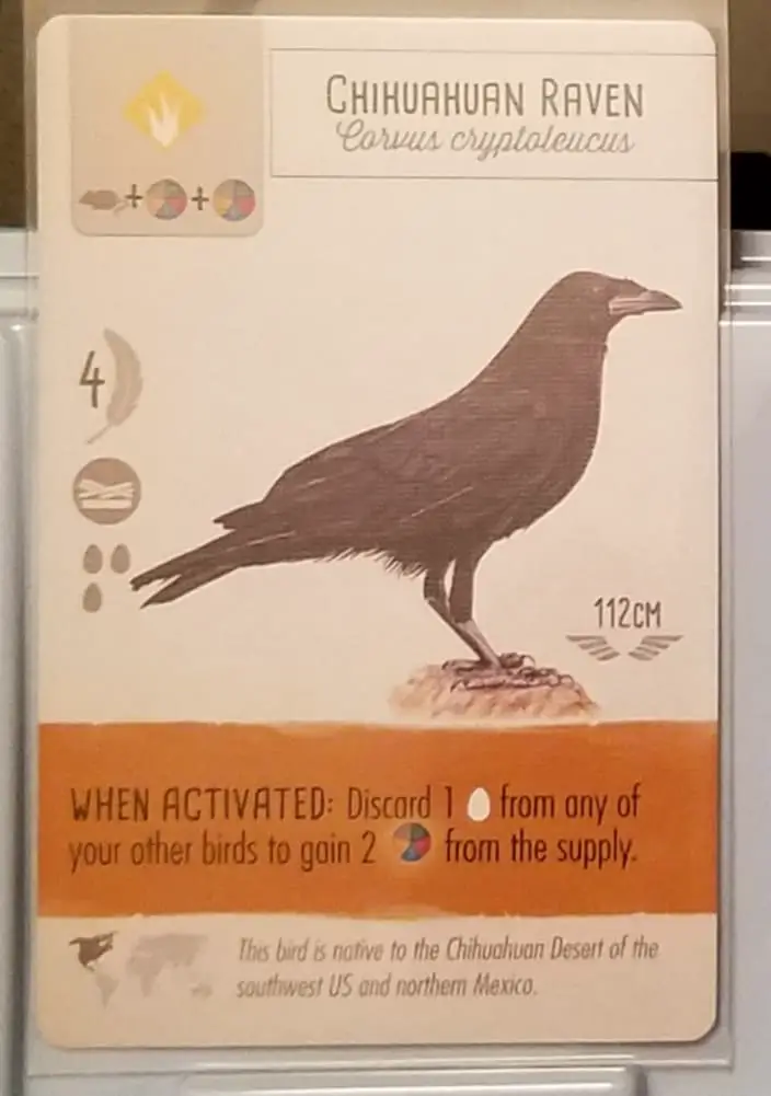 Chihuahuan Raven and Common Raven in Wingspan • Wingsplain